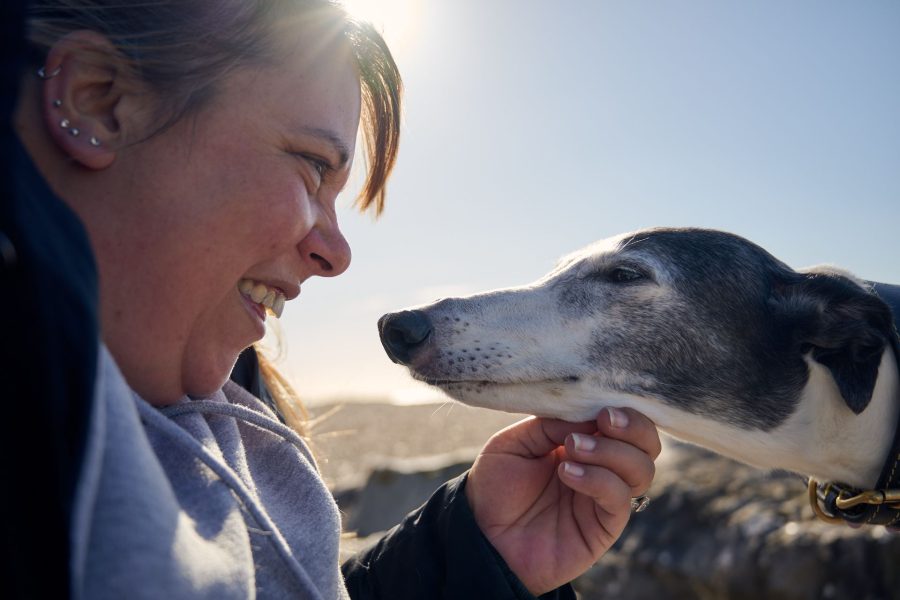Share your life with a greyhound | Rehoming greyhounds